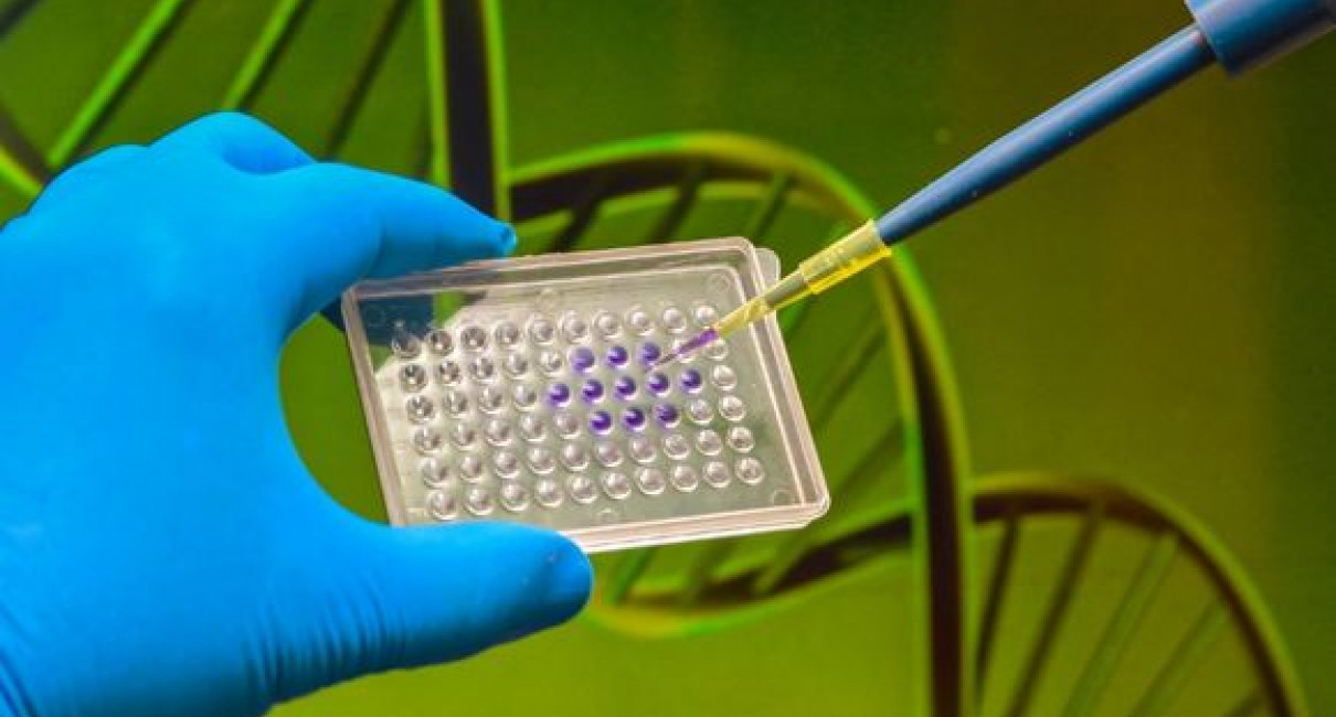 Genomics and Computational Biology | School of Plant Sciences and Food ...