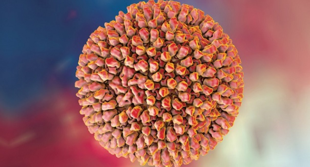 It turns out that viruses can fight on our side | The George S. Wise ...